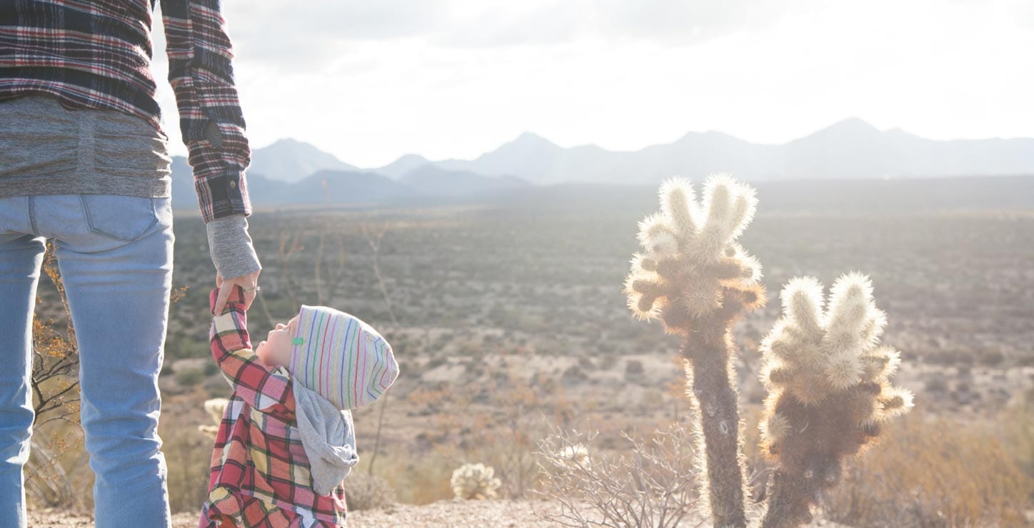 Human Life Action | National Committee for a Human Life Amendment